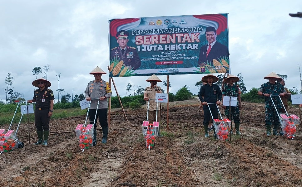 Pemerintah Daerah dan Polres Gumas Kolaborasi Tanam Jagung Serentak 1 Juta Hektar | Multi Media ...